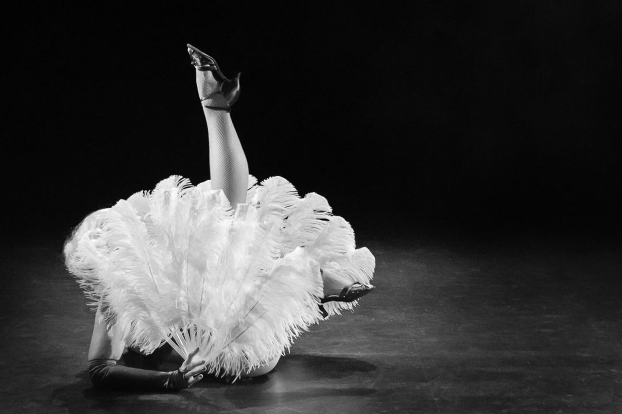 Feathered Elegance – Maria Callista